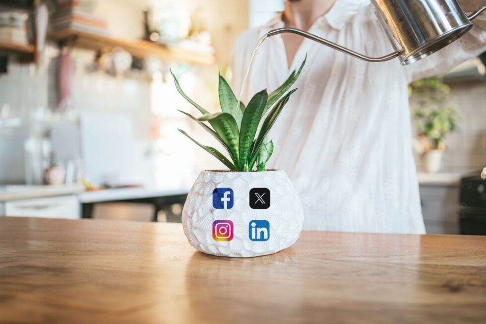 Organic Social v Paid Boosts: How to Maximise Your Social Media ...